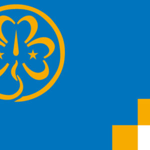 Flag of The World Association of Girl Guides and Girl Scouts (WAGGGS ...